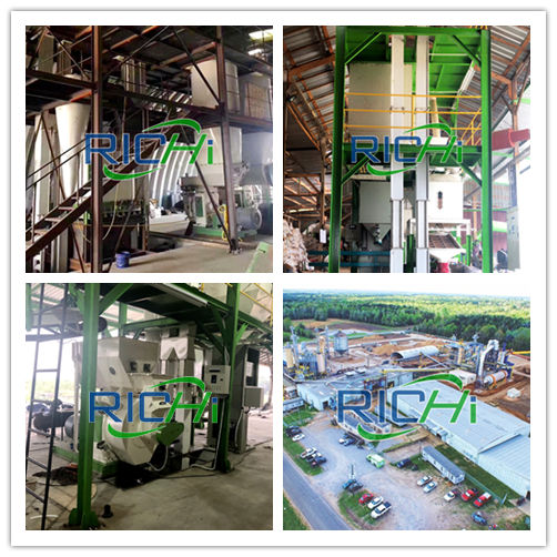 Biomass Pellet Production Line - pellet-richi.com