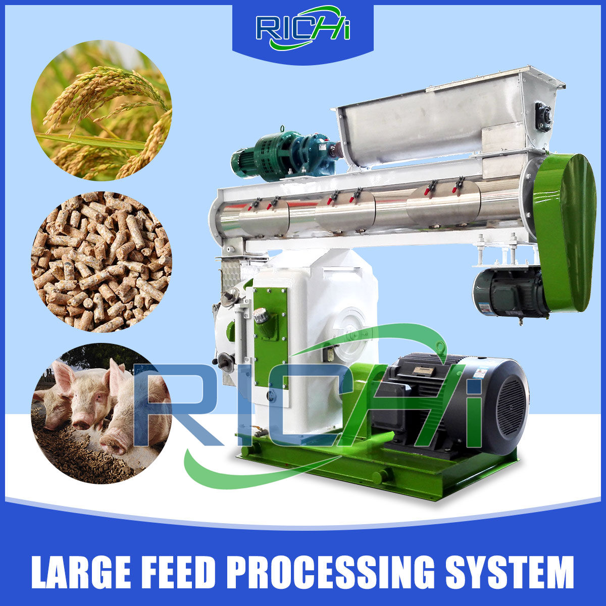 Pig Feed Pellet Machine - pellet-richi.com