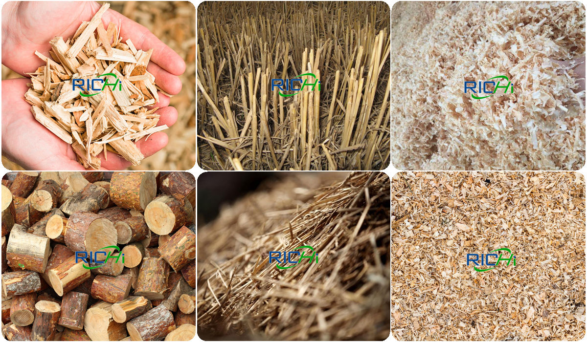 Fuel Pellet Making Machine & Pellet Production Line - pellet-richi.com