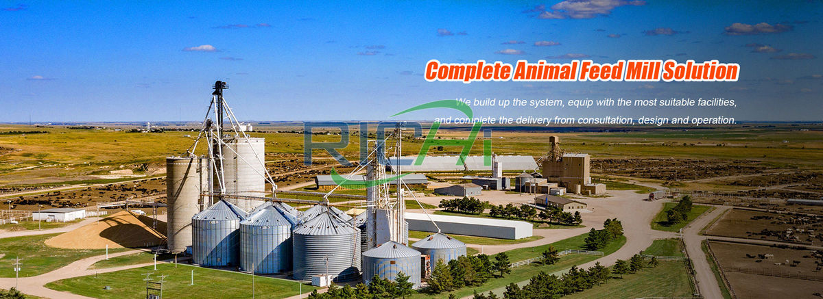 How To Build Complete Cattle Feed Mill - pellet-richi.com