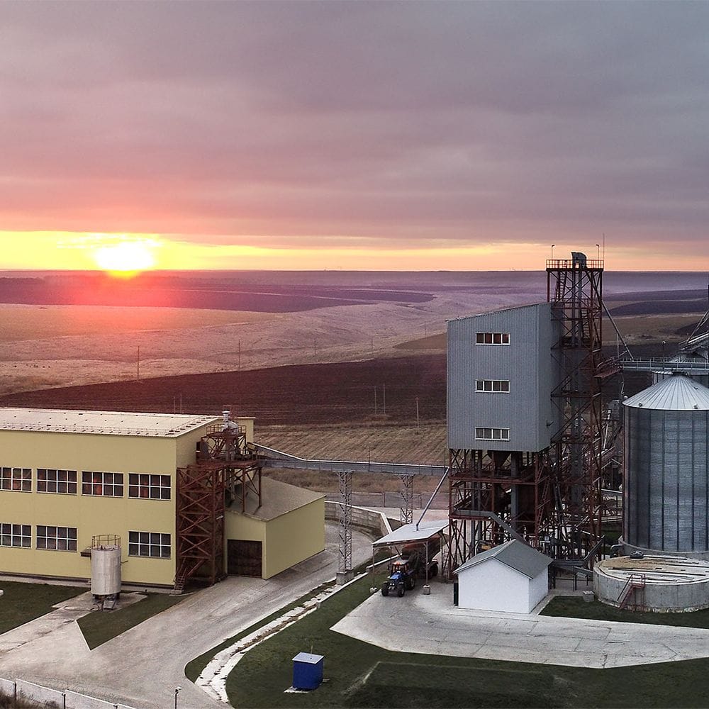 Poultry Feed Production Line - pellet-richi.com