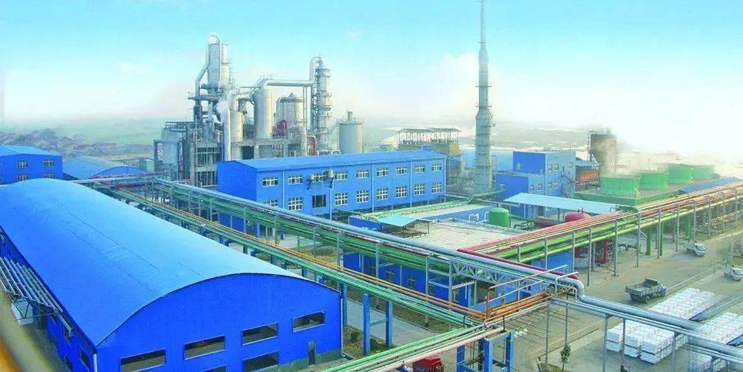 Organic Fertilizer Production Line - pellet-richi.com