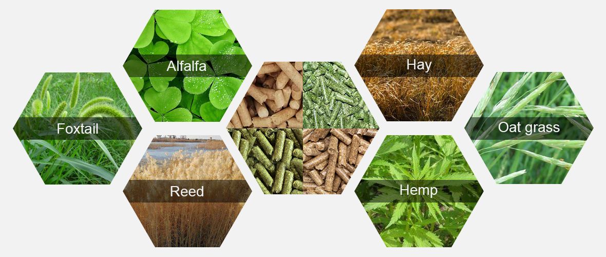 Alfalfa Pellet Paking Pachine - pellet-richi.com